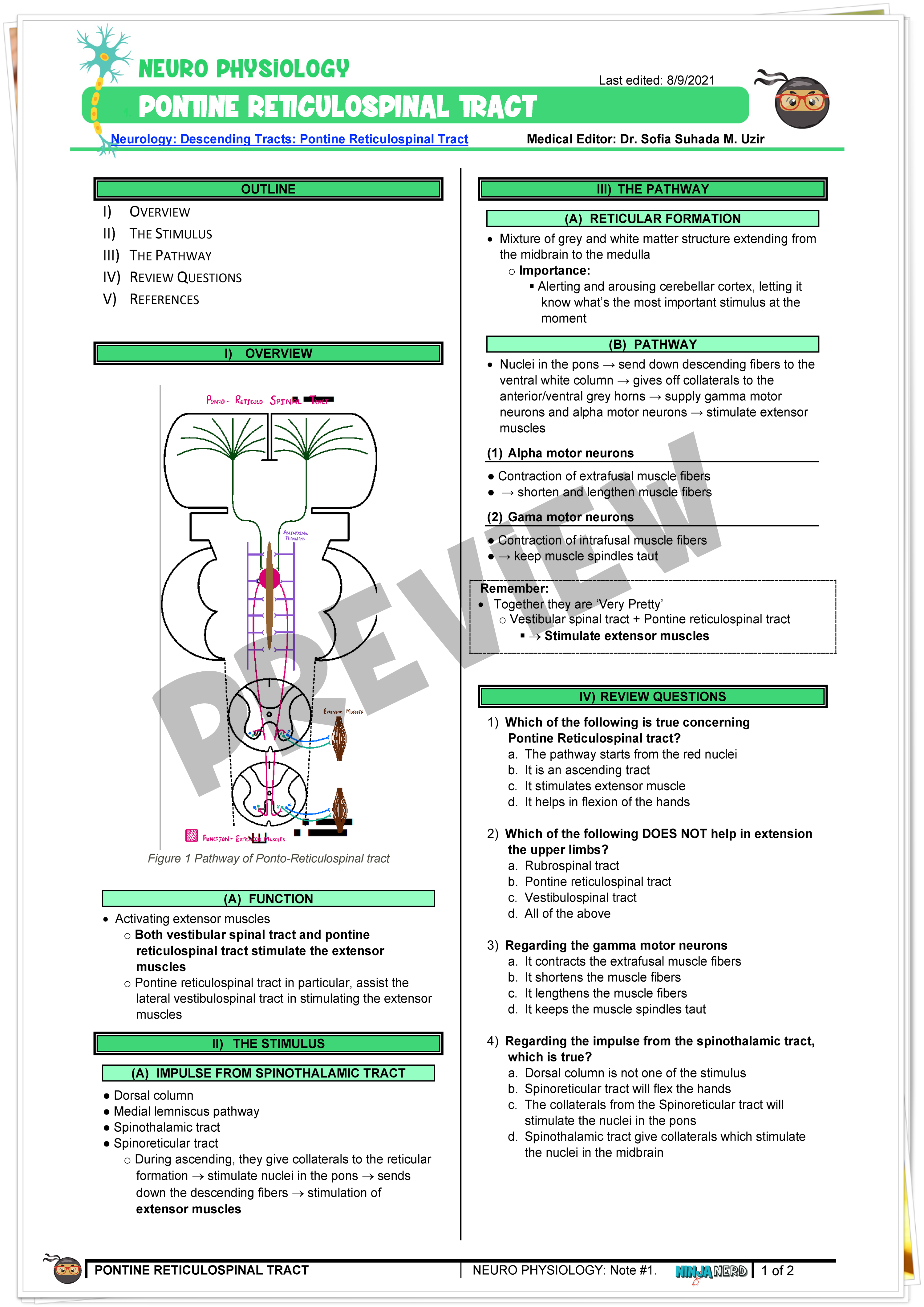 Descending Tracts: Pontine Reticulospinal Tract - Notes - NinjaNerd ...