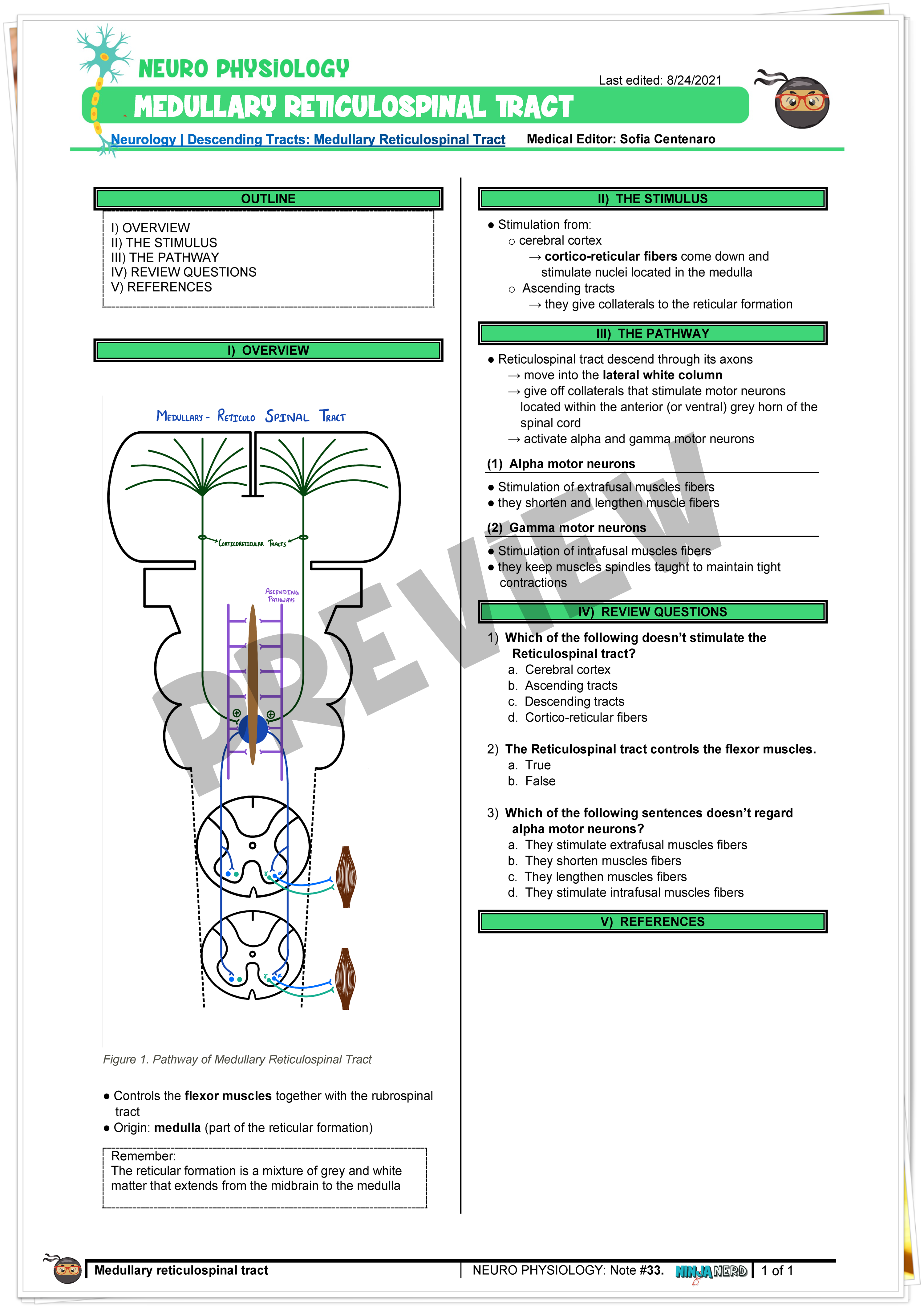 Descending Tracts: Medullary Reticulospinal Tract - Notes - NinjaNerd ...