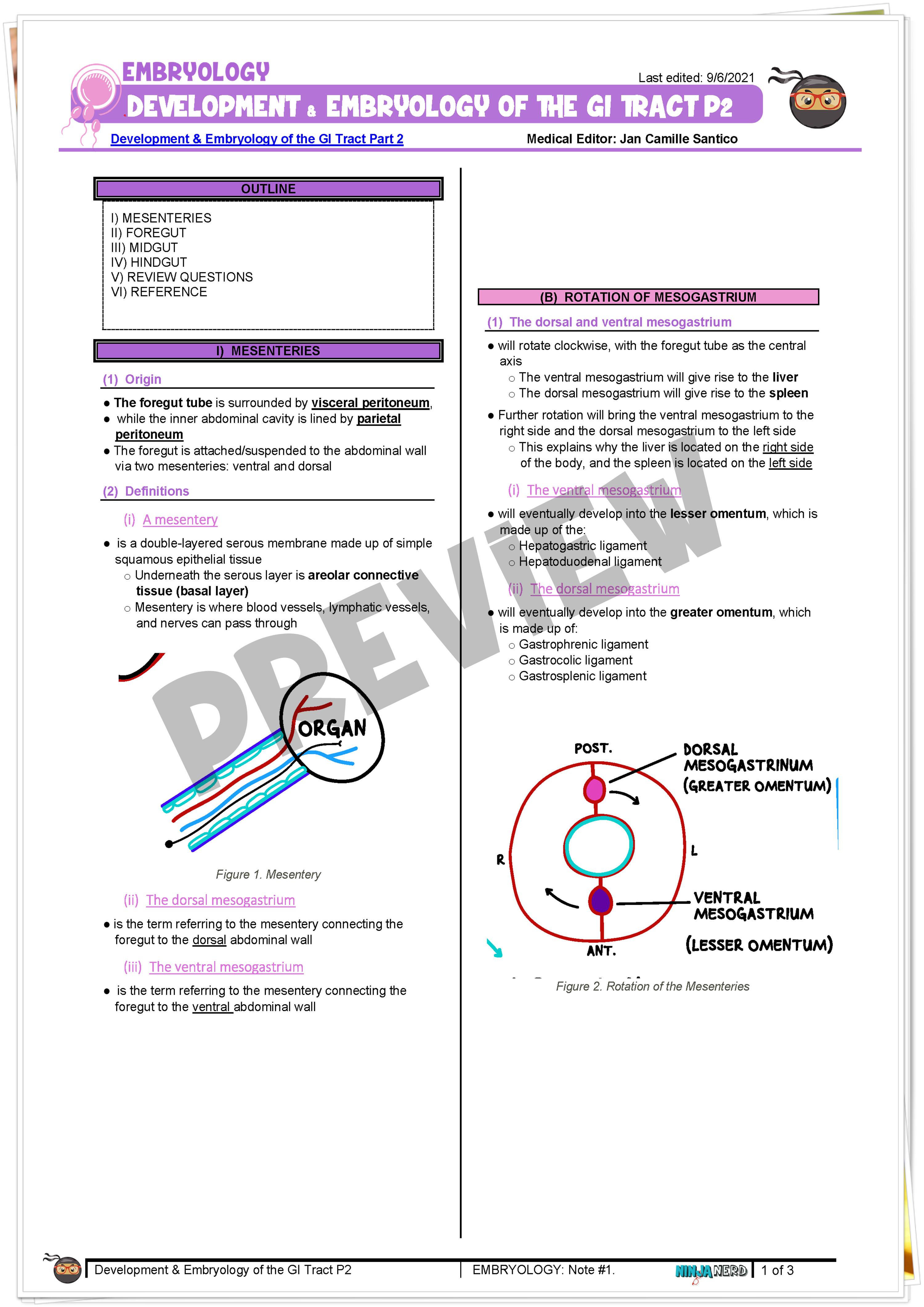Development & Embryology of the GI Tract: Part 2 - Notes - NinjaNerd ...