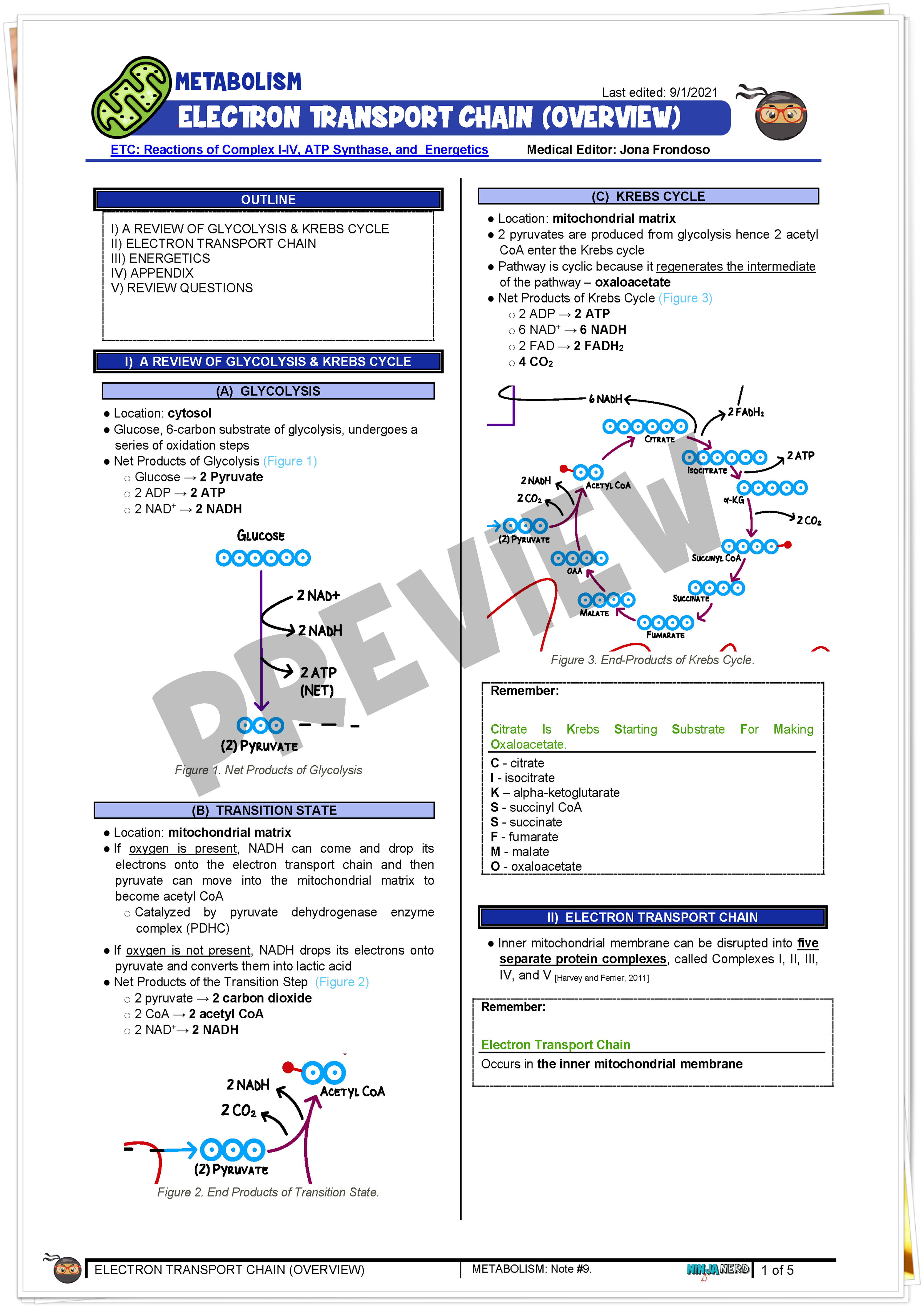 Electron Transport Chain: Overview - Notes - NinjaNerd Medicine