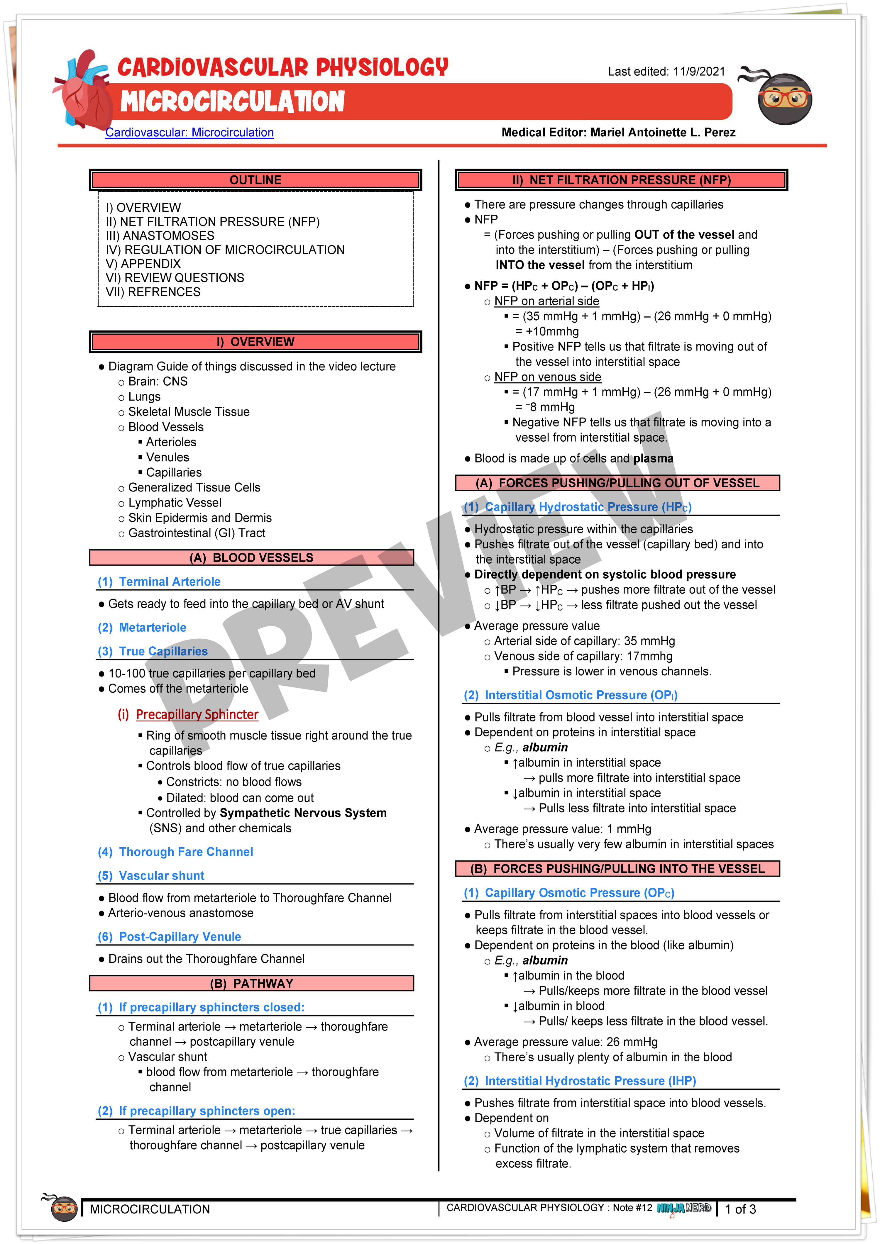 Microcirculation Notes Ninjanerd Medicine