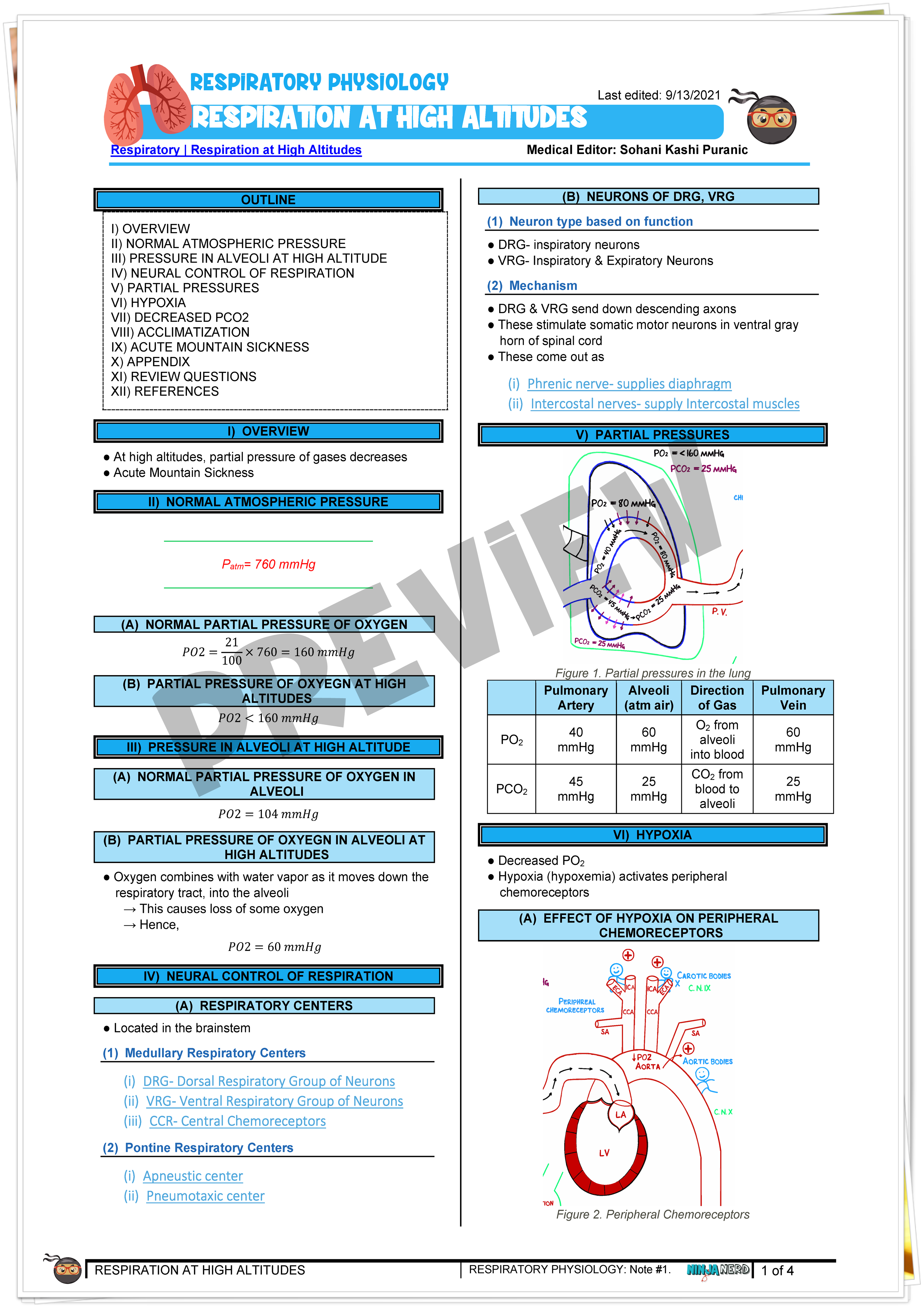 Respiration at High Altitudes - Notes - NinjaNerd Medicine