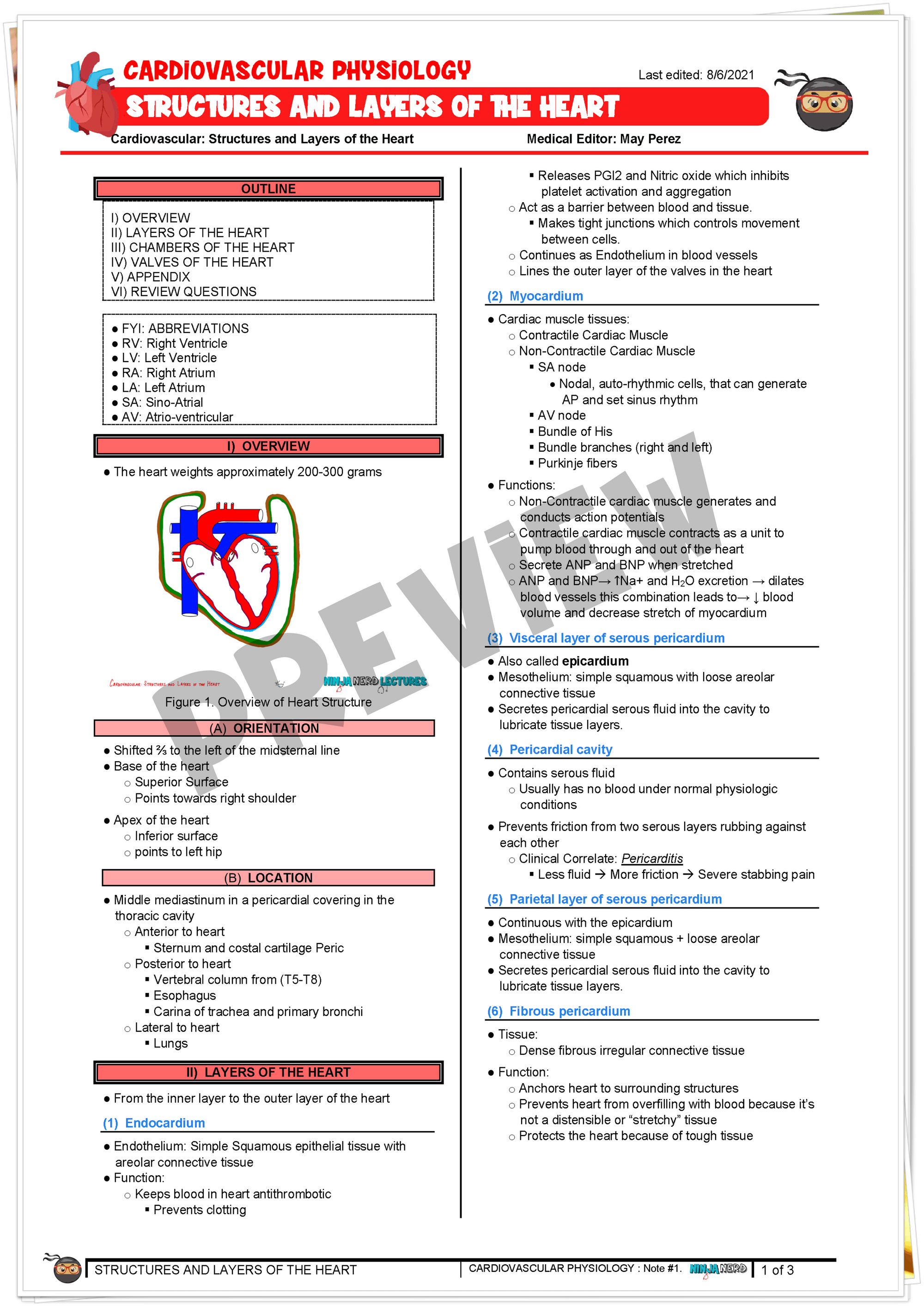 Structures and Layers of the Heart - Notes - NinjaNerd Medicine