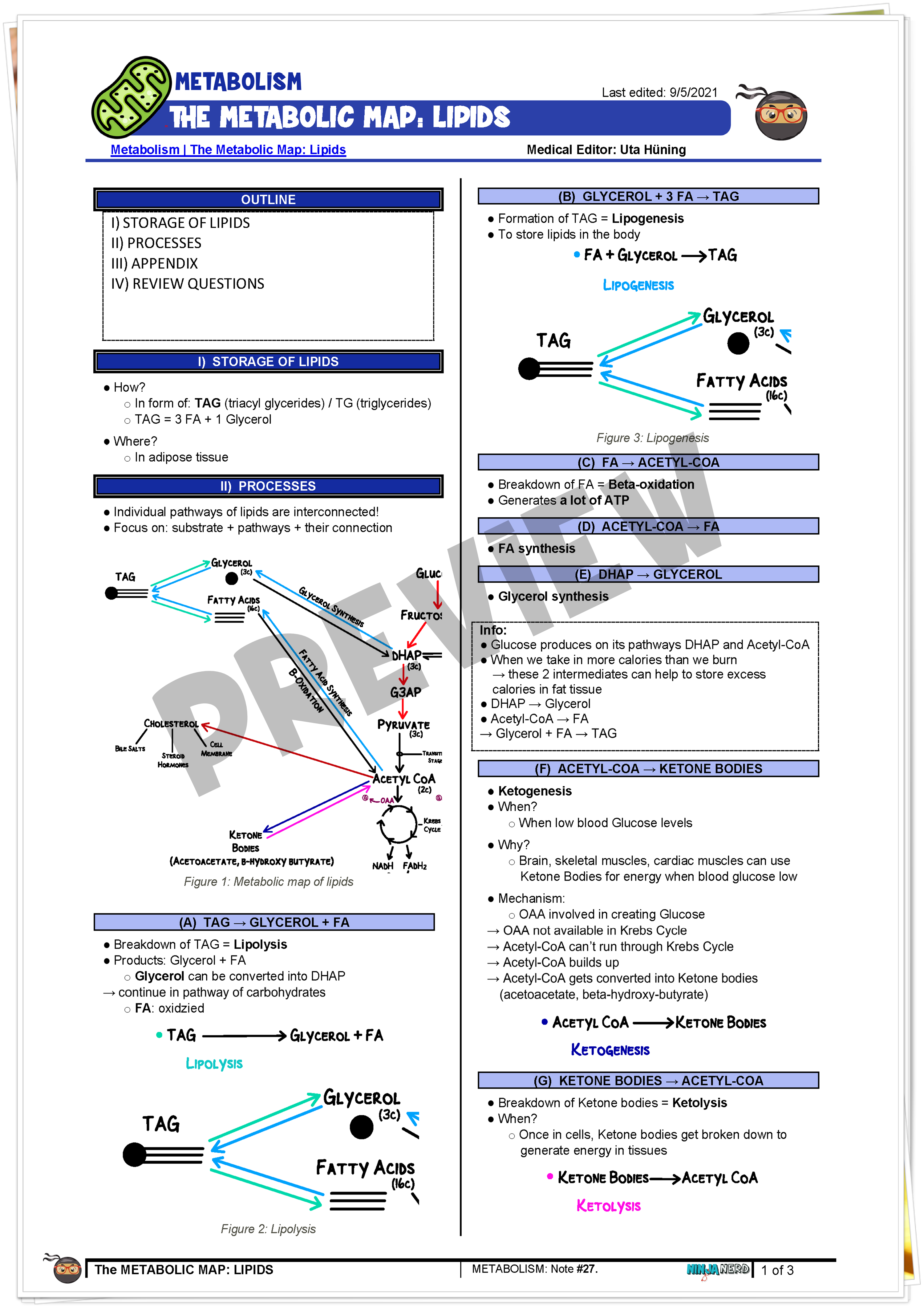 The Metabolic Map: Lipids - Notes - NinjaNerd Medicine