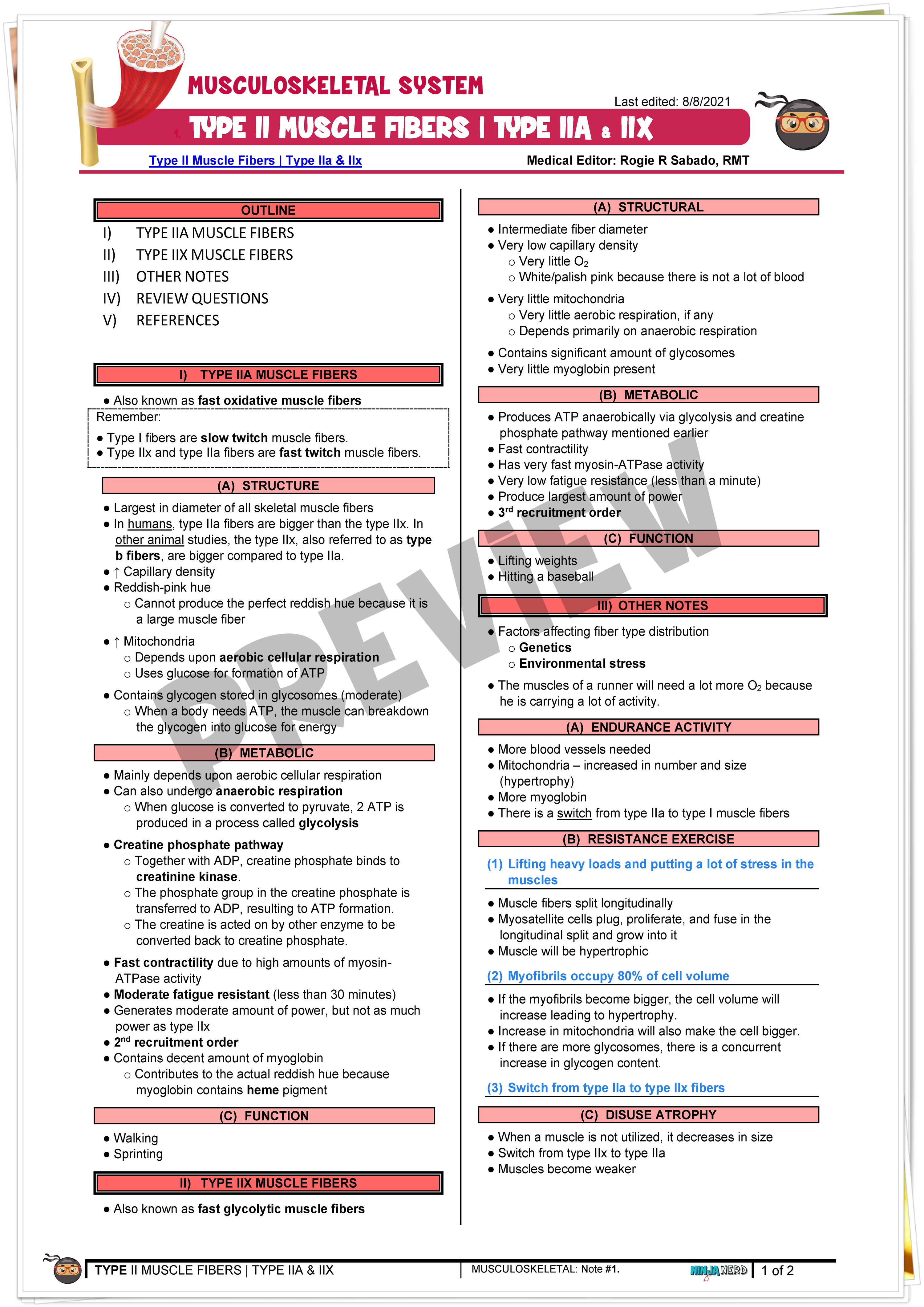 Type II Muscle Fibers | Type IIa & IIx - Notes - NinjaNerd Medicine