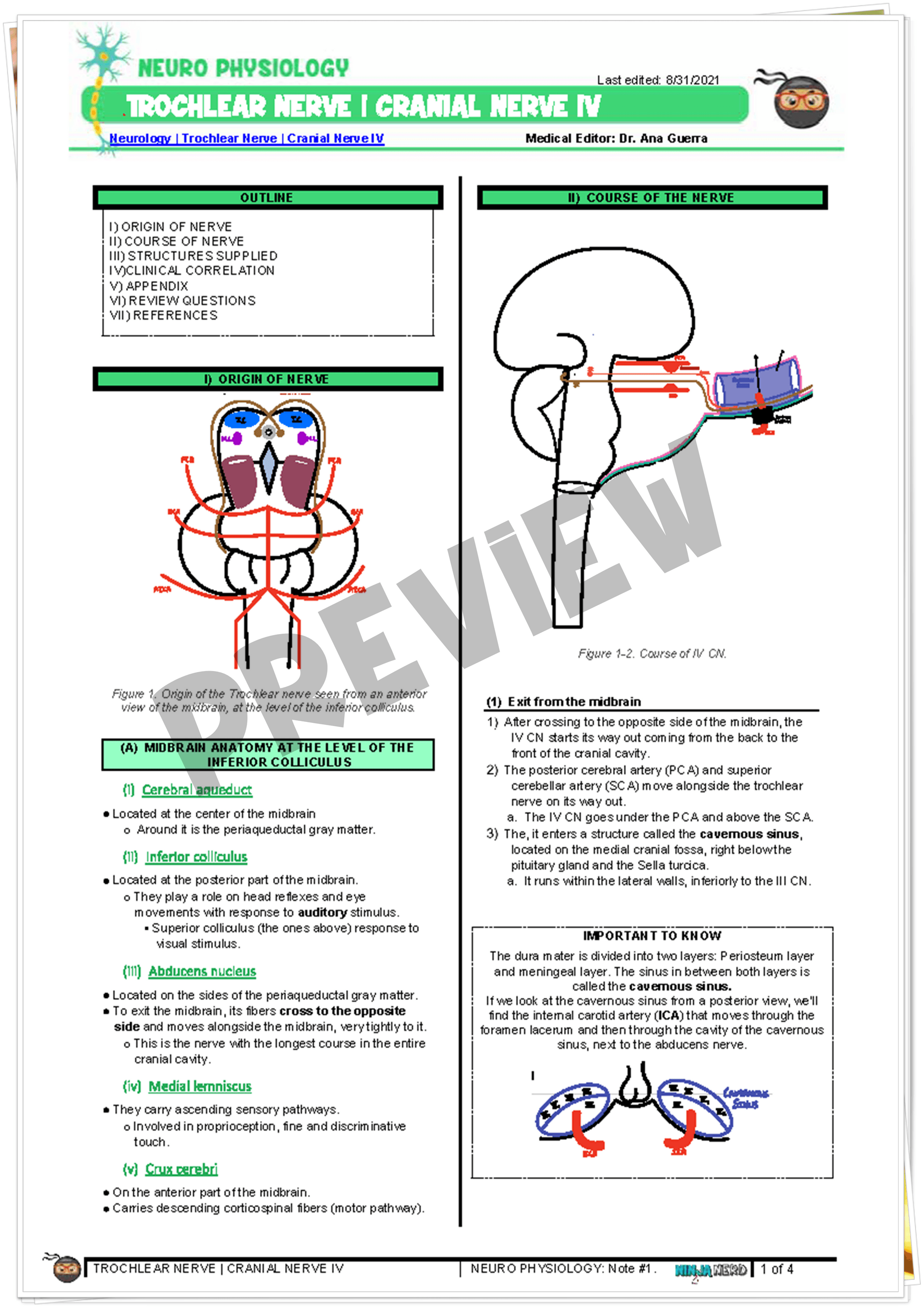 Trochlear Nerve: Cranial Nerve IV - Notes - NinjaNerd Medicine