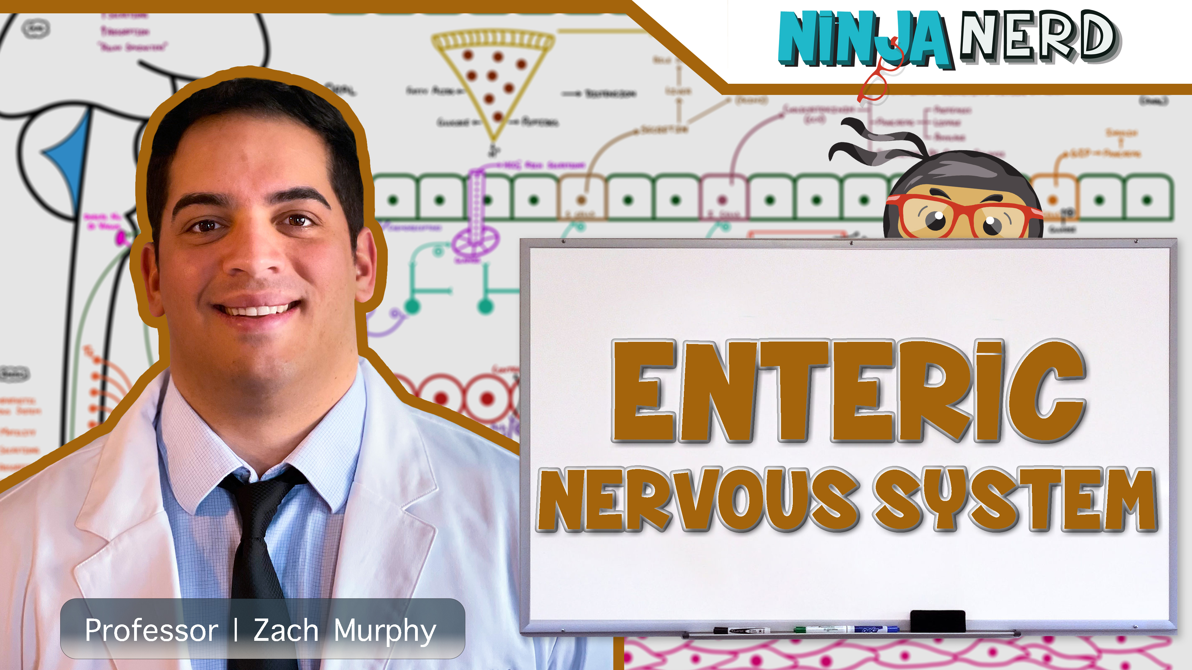 Gastrointestinal Lectures - NinjaNerd Medicine