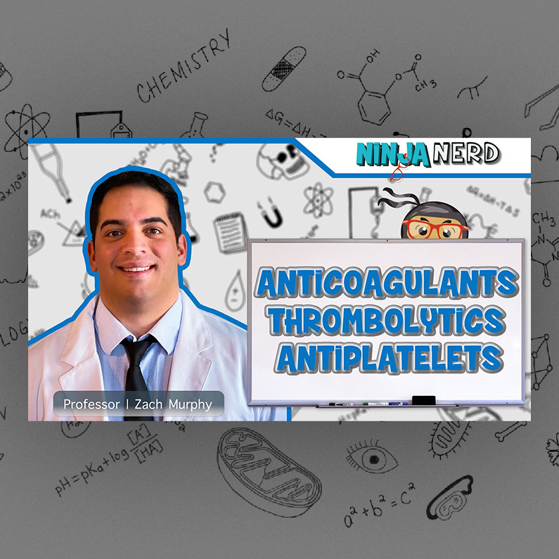 What's New - Ninja Nerd