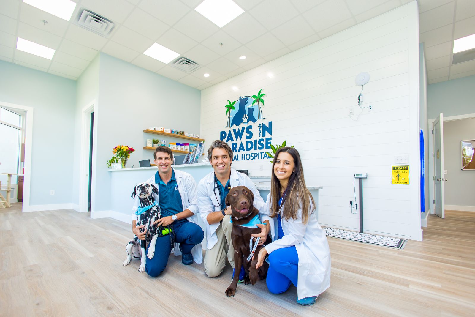 High-Quality Animal Hospital in Inlet Beach, FL I Paws In Paradise ...