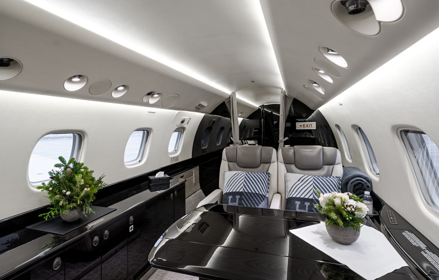 Aircraft Management · Union Aviation