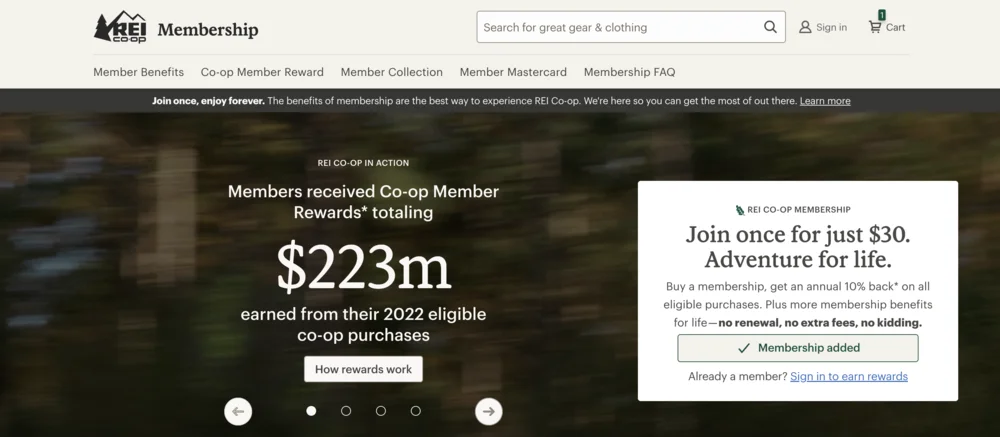 Rewards program name: 9 tips to choose the perfect one (+9 examples)