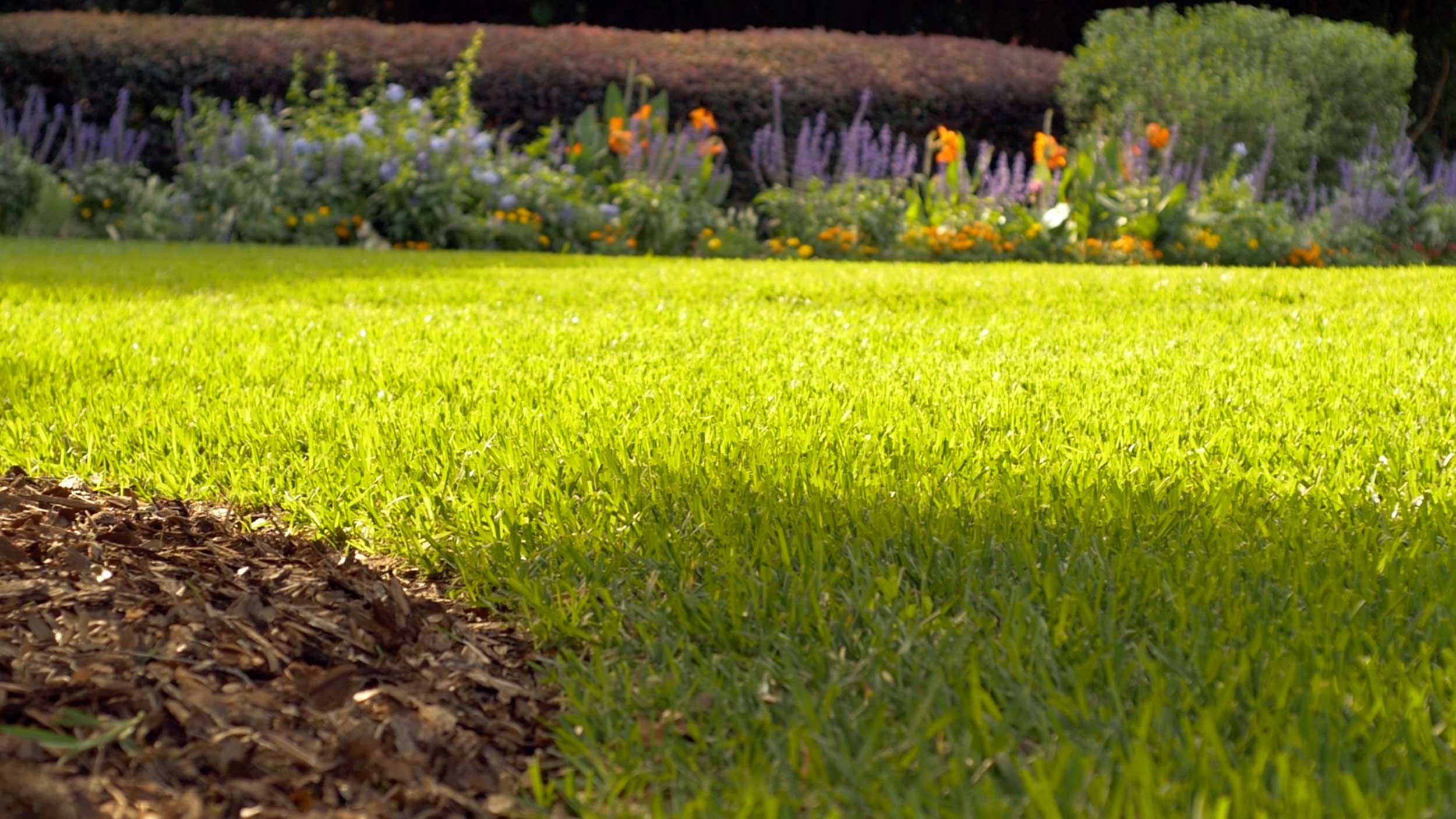 Mulch Installation Gainesville, FL | LawnMore