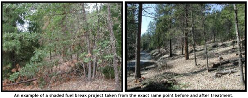 Shaded Fuel Break Planning Project