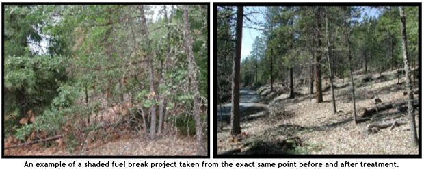 Shaded Fuel Break Planning Project