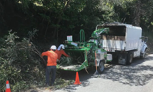 Marin Wildfire Prevention Authority
