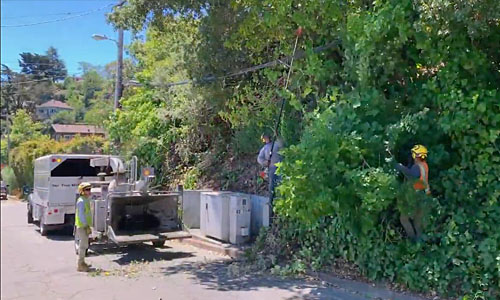 Marin Wildfire Prevention Authority