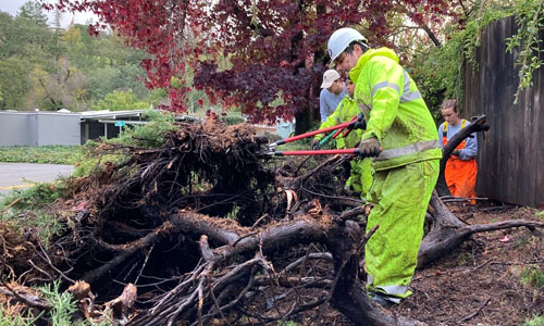 Marin Wildfire Prevention Authority