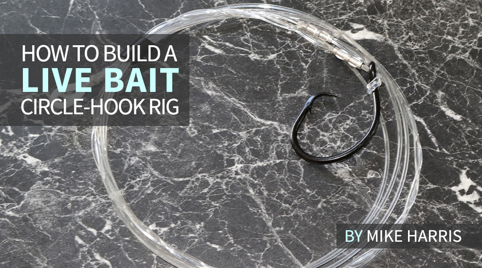 Building a Live Bait Circle-Hook Rig