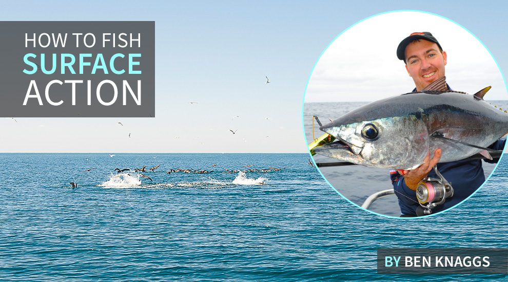 How to Fish Surface Action