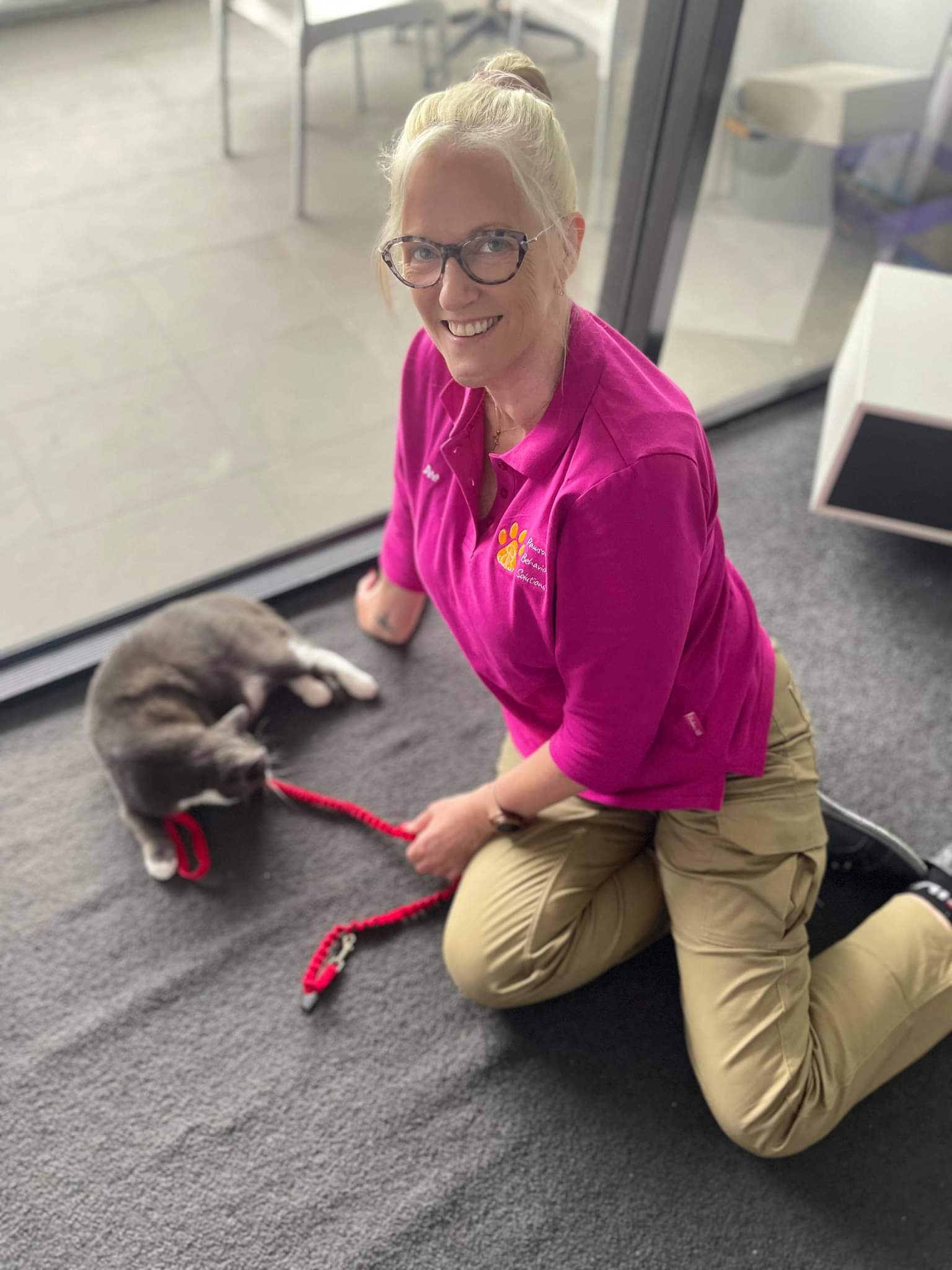 Dog Trainer Dee, Pawsome Behaviour Solutions