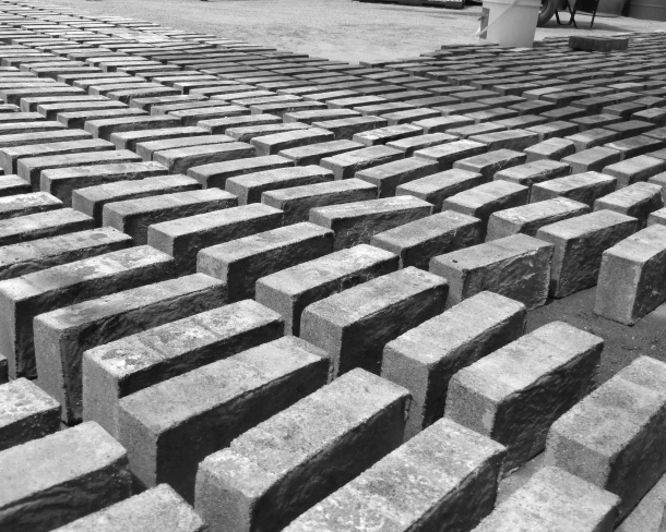 Biomason | Celesta Capital