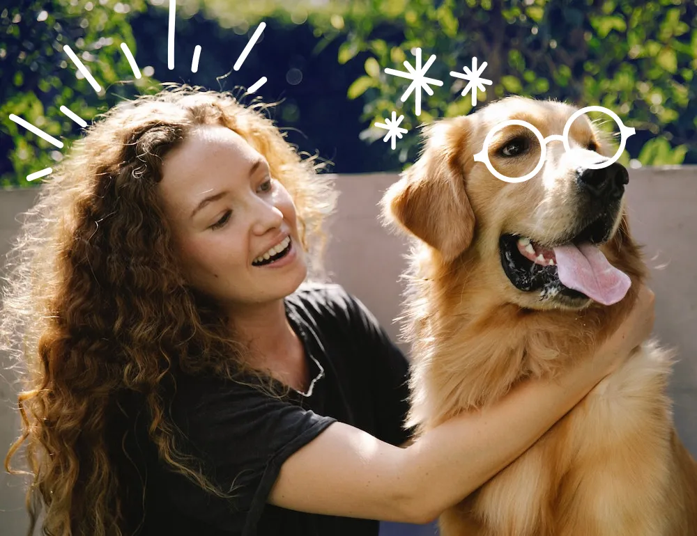 What You Need to Know About Groombuggy's Services | Groombuggy