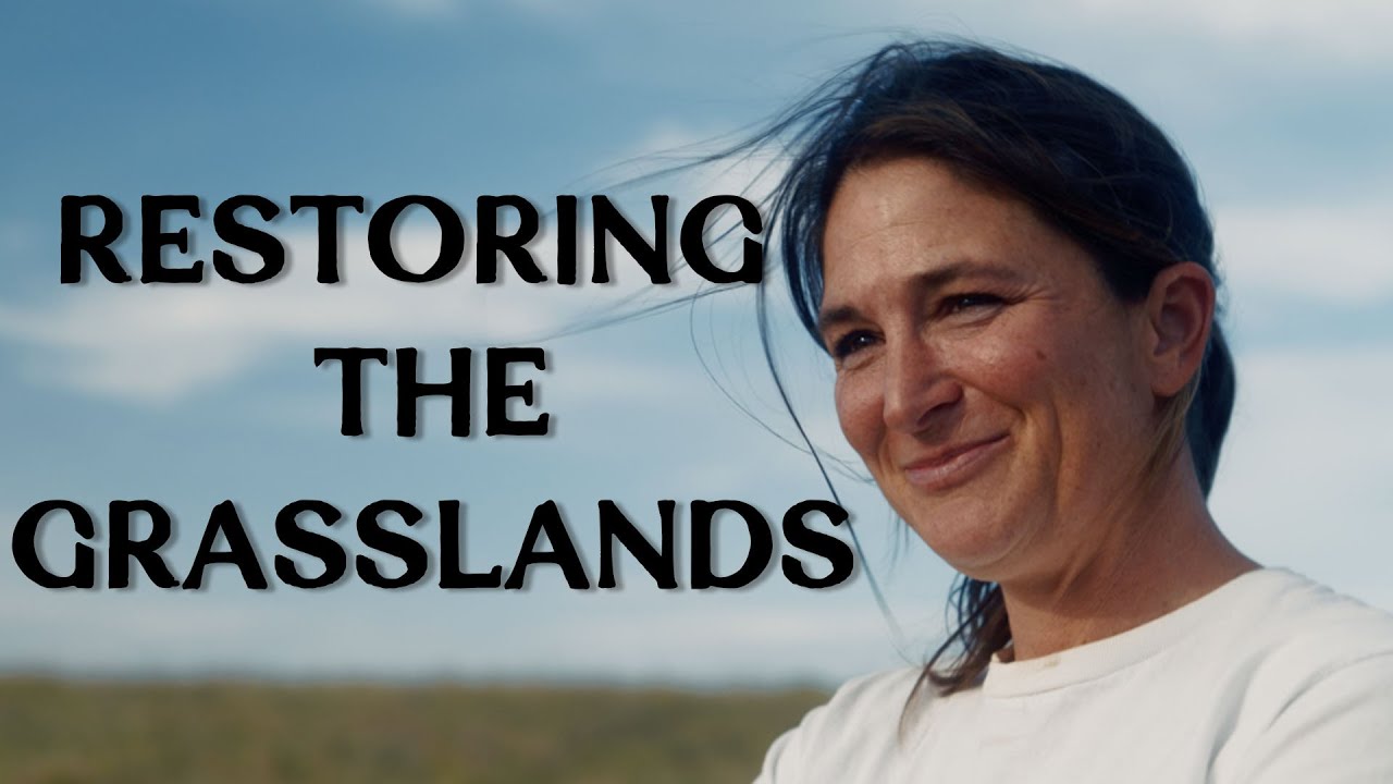 Greater Horizons - How a rancher is restoring native grasslands of ...