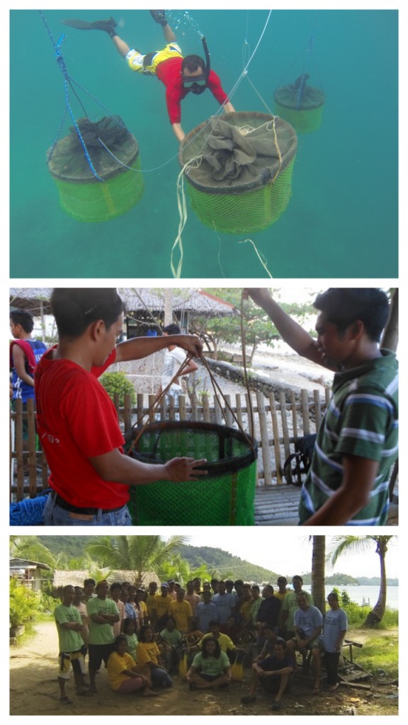 Fisherfolks' Alternative Livelihood Project Gains Ground