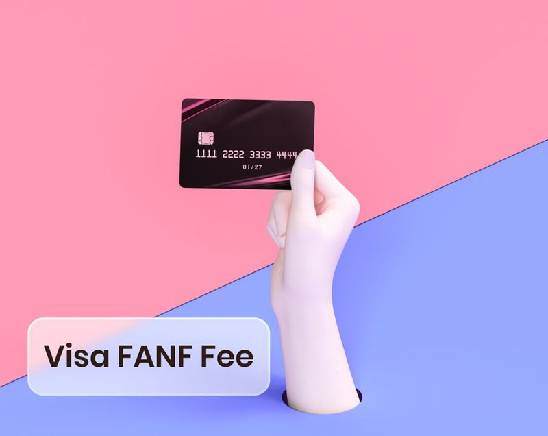What Is the Visa FANF Fee? A Complete Guide (2023Update)