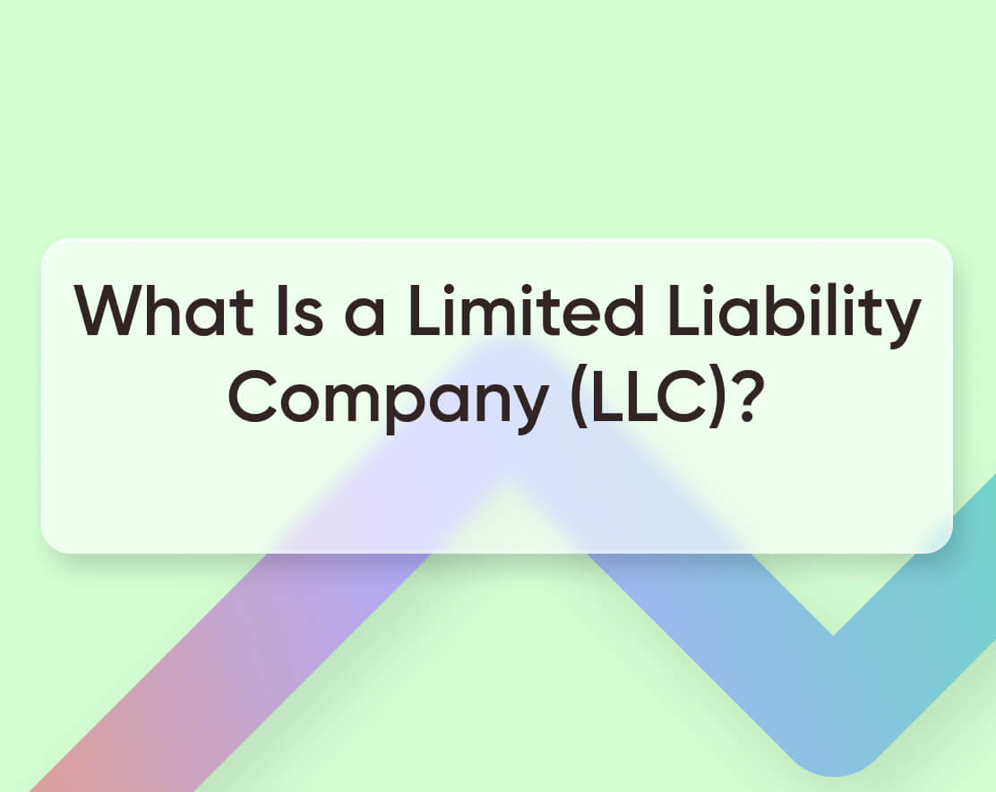 What Is a Limited Liability Company (LLC)? Full Guide for 2023