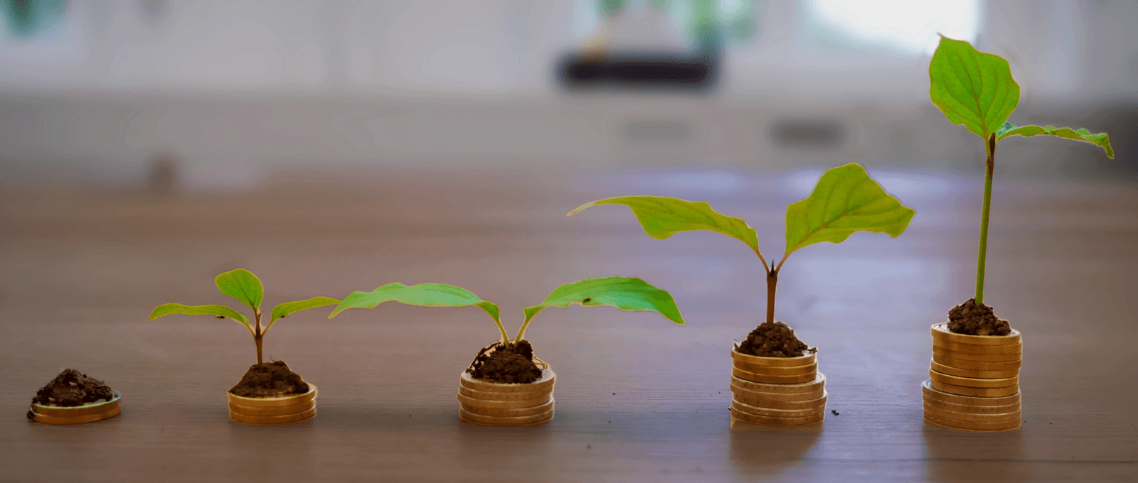 Why venture studio startups have higher long-term success rates