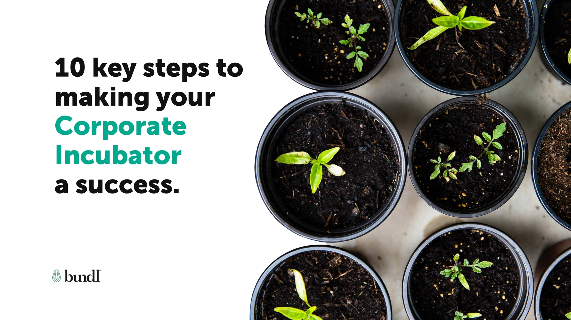10 key decisions to shape your corporate incubator
