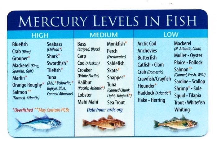 The Ultimate Guide to Eating Mercury-Safe Fish