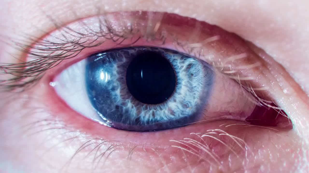 Scout Ventures | About Us