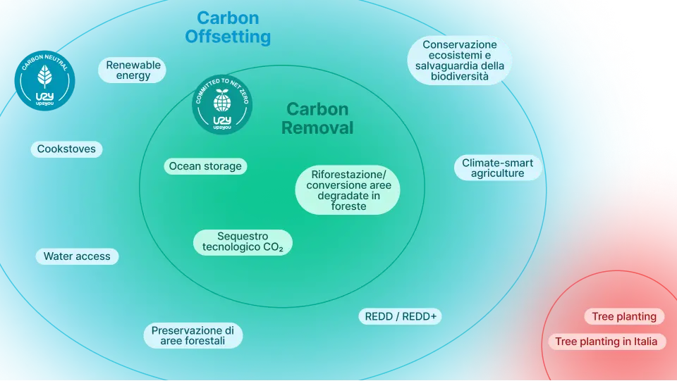 Carbon removal, cosa sono e a cosa servono - Up2You