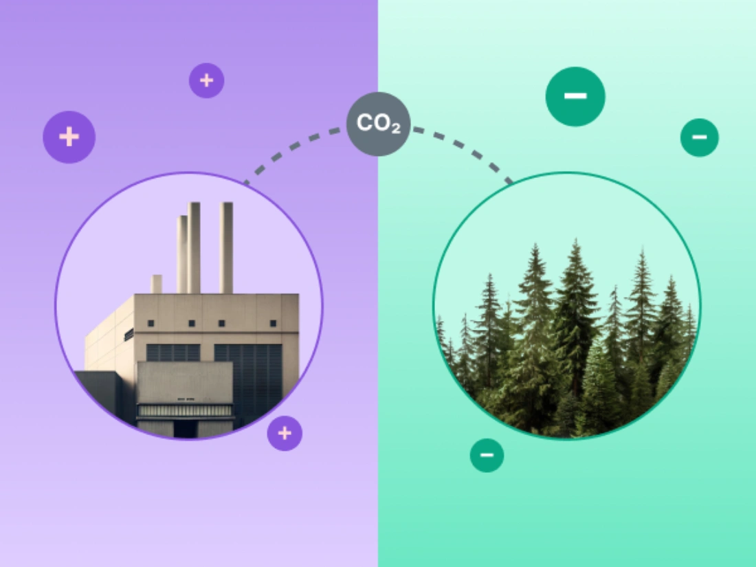 Carbon credit: cosa sono e come si acquistano | Up2You