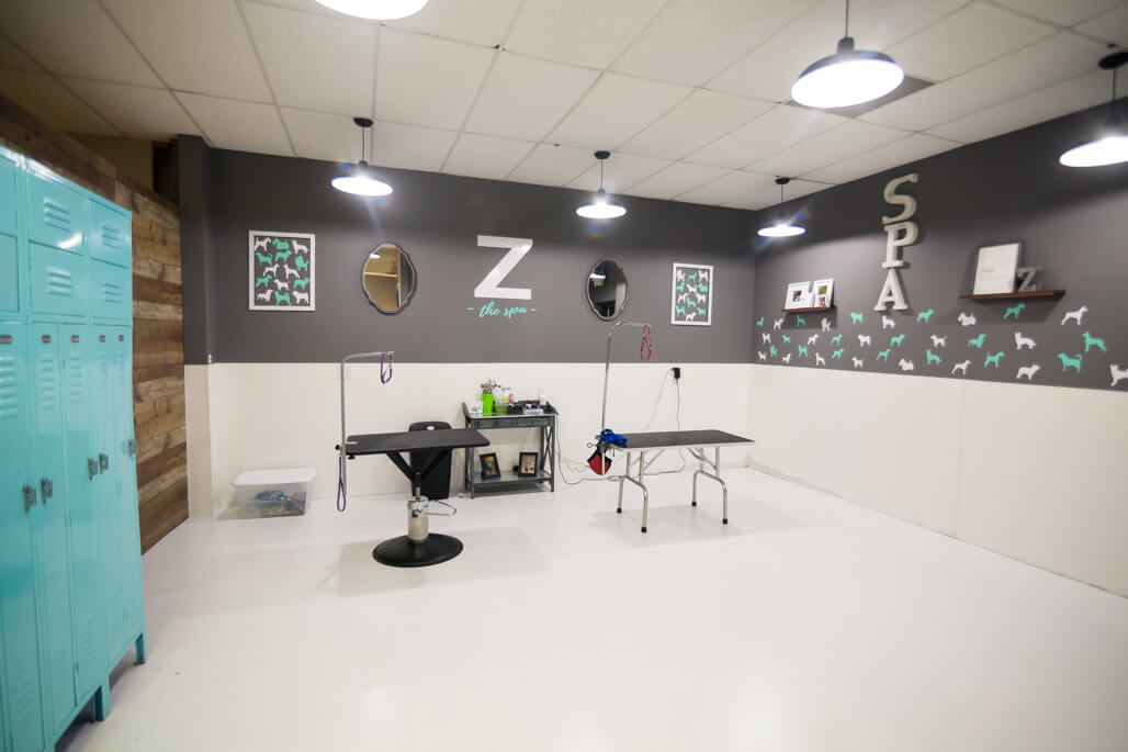 The Best Dog & Cat Grooming In Griffin, GA!