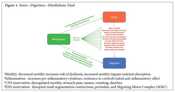 Stress-Digestion-Mindfulness Triad: The Science Behind Mindful Eating ...