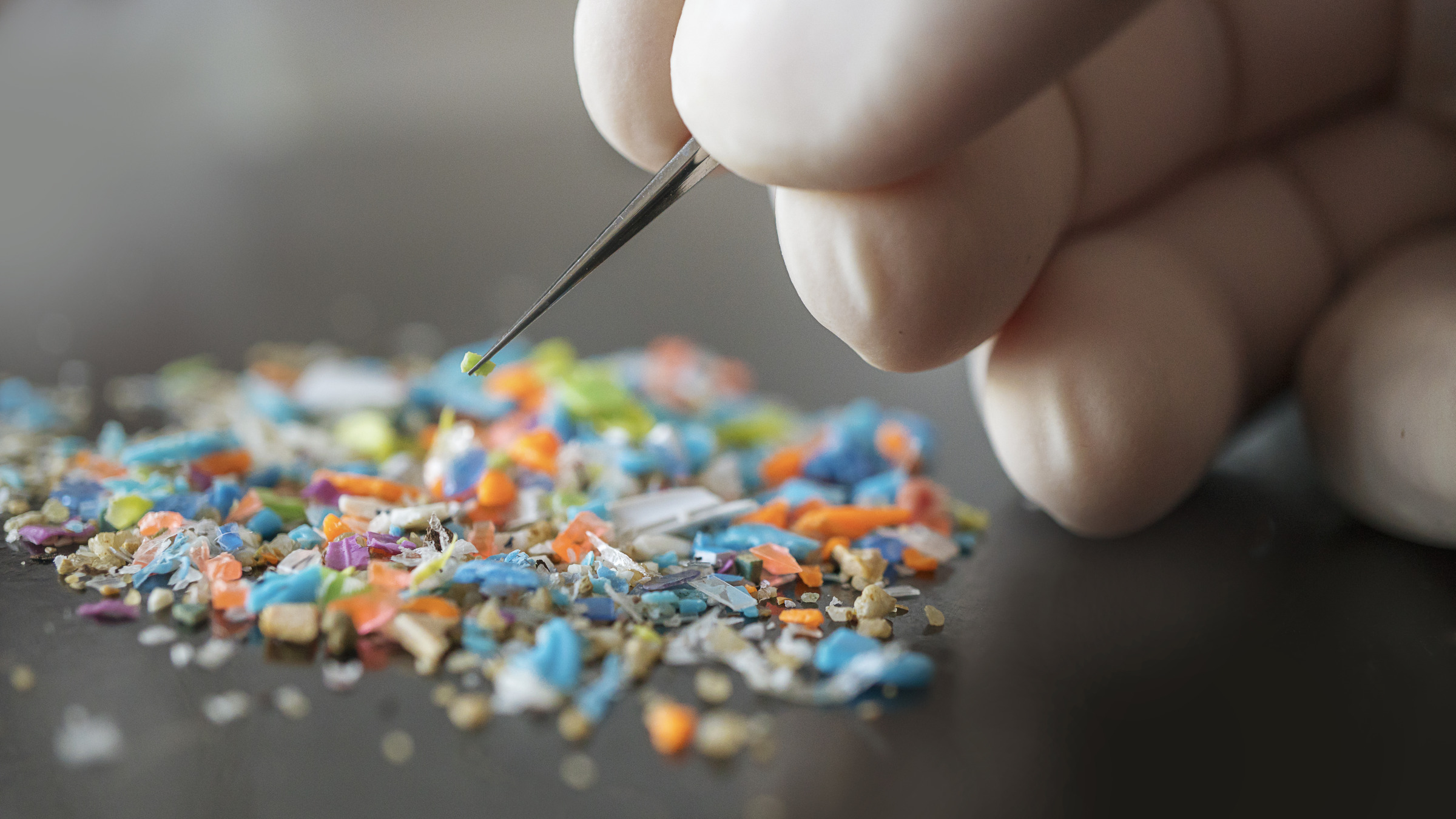 Binge-eating Microplastics: Health Risks and Detoxification | Alive ...