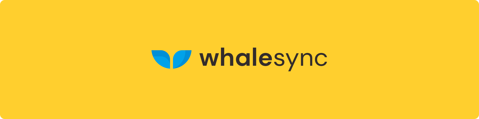 How Whalesync improved its QA process in a more organized and ...