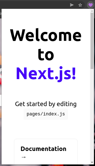 Build a Chrome Extension in Next.js and Notion API | Bug Tracking Blog @ Bird Eats Bug