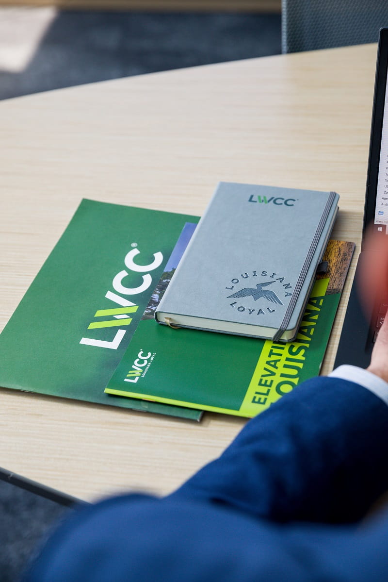 LWCC Brand Guidelines | LWCC Logo