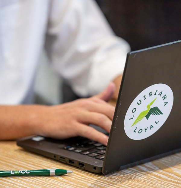 LWCC Brand Guidelines | LWCC Logo