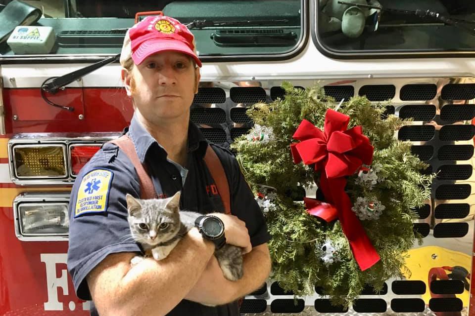 Save the Cat: Blake Snyder - Arc Studio Blog