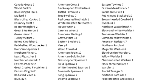 Trip Highlights from the Allen Bird Club
