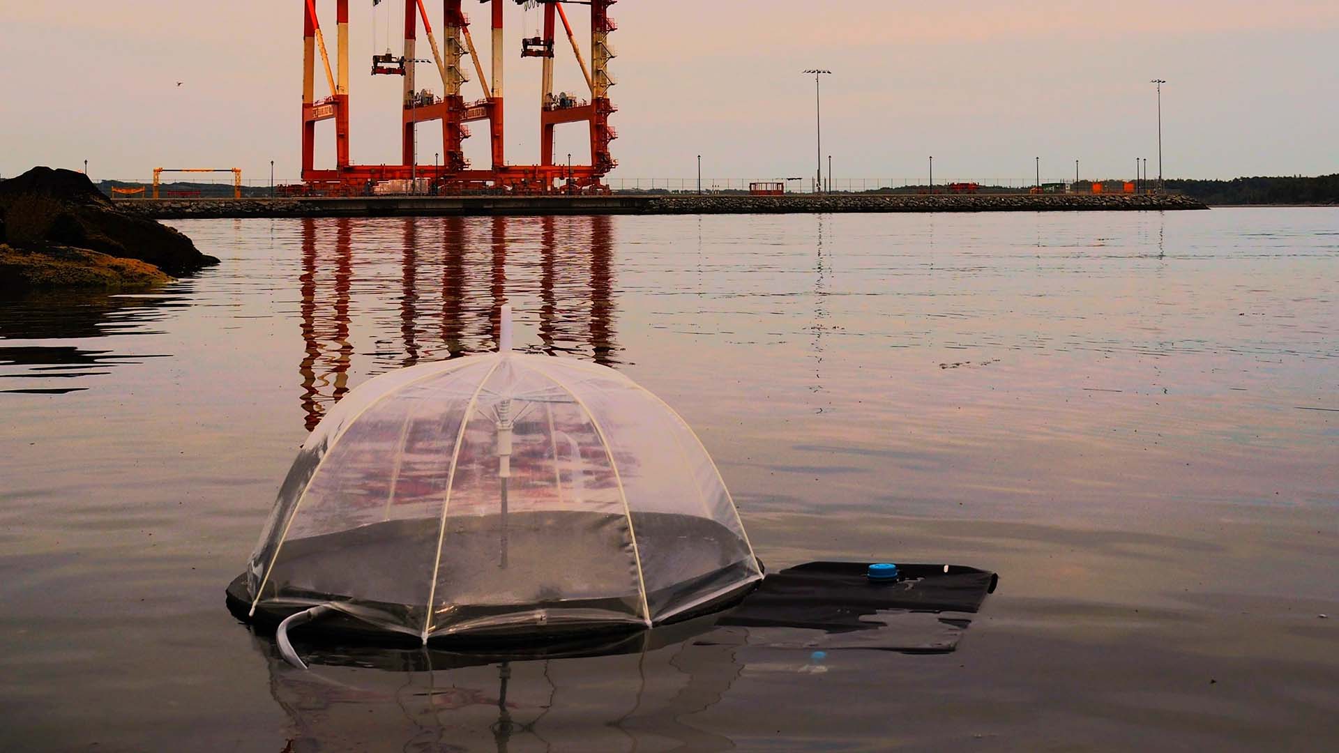 New technology developed to create freshwater from the ocean sustainably