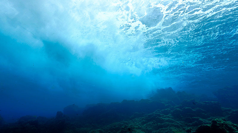 Rethinking ocean metabolism to improve our understanding of life underwater