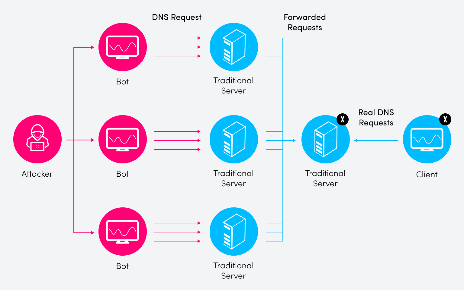 DNS Attacks: Tutorial & Prevention Best Practices