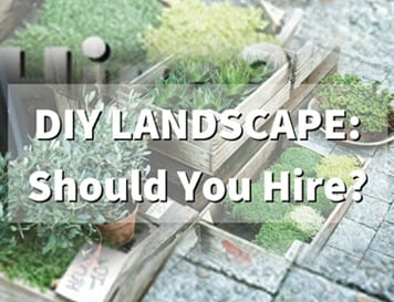 Limitations of DIY Landscape Design: Should You Hire or Not?
