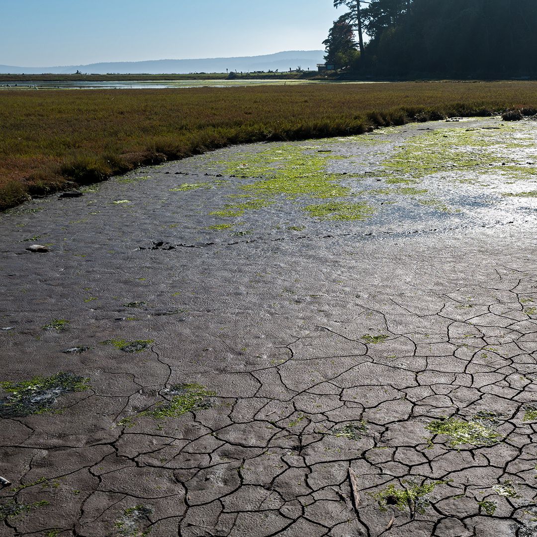 Petra utility undergrounding